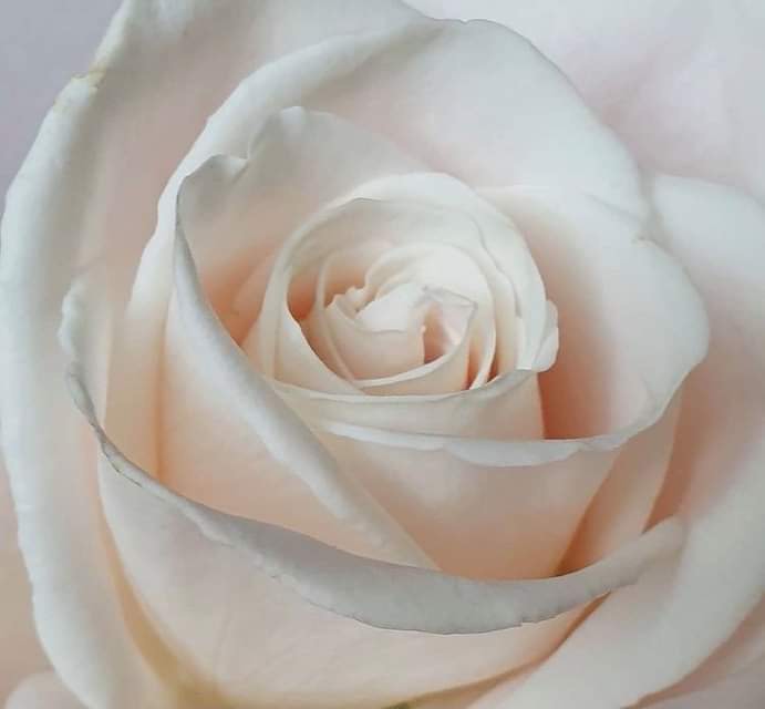 Inspiring women – Tale Peddler - Josephine Pennicott