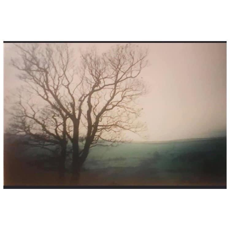Kate Bush – Tale Peddler - Josephine Pennicott