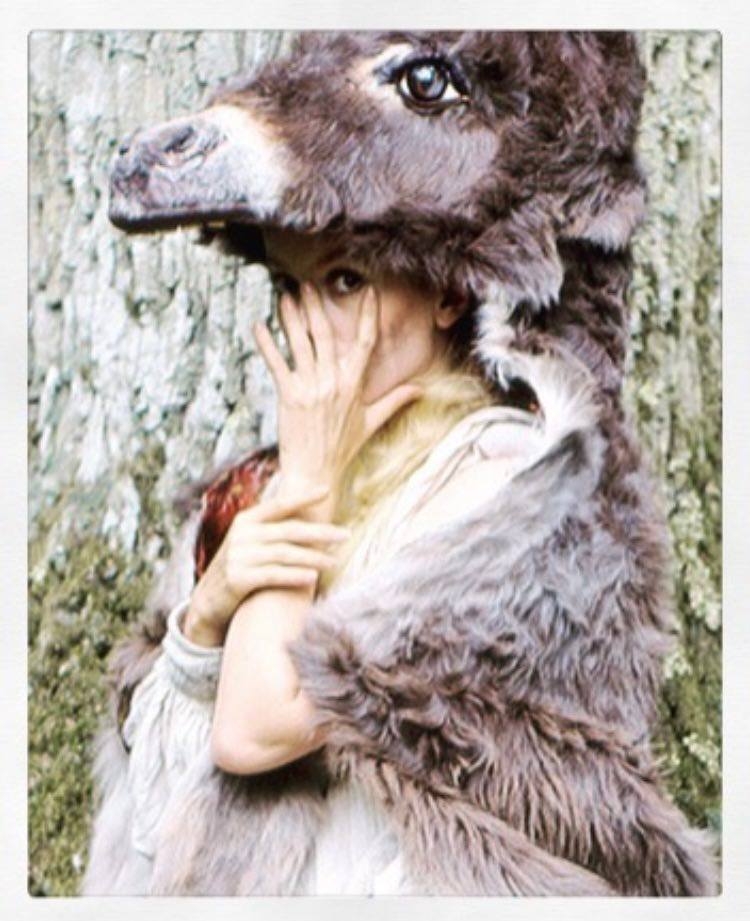 DONKEY SKIN – Tale Peddler - Josephine Pennicott